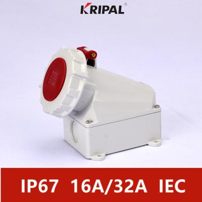 中国 ちり止めIP67 230V 16Aの産業壁に取り付けられたソケットIECの標準 販売のため