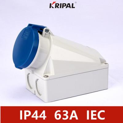 Cina Norma fissata al muro industriale di IEC dell'incavo di potere di IP44 4P 63Amp in vendita