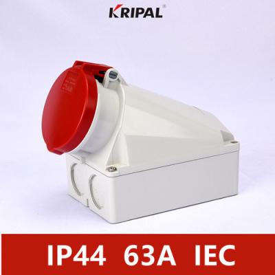 Cina Norma fissata al muro industriale di IEC dell'incavo di potere di IP44 4P 63Amp in vendita