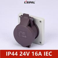 China IP44 24V 48V 2P Single Phase Low Voltage Panel Mounted Socket for sale