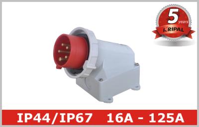 China IP67 Waterproof IEC fixado na parede da ECO da entrada industrial do dispositivo das tomadas à venda