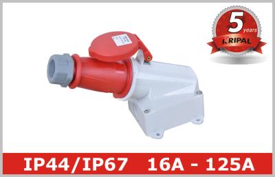 中国 IEC CEE の壁に取り付けられたソケットの産業電気出口 2P+E 3P+E 3P+N+E 販売のため