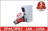 China Compact Industrial Power Socket 16A for Electrical Power Distribution for sale