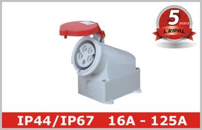 中国 IEC CEE の壁に取り付けられたソケットの産業電気出口 2P+E 3P+E 3P+N+E 販売のため