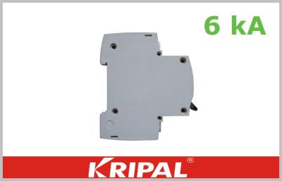 中国 240V / 415V密集した小型遮断器1/2/3/4 Pの短絡の&overloadの保護カーブB/C/D 6KA 4.5KA 販売のため