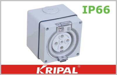 China as séries de 56SO 66SO Waterproof receptáculos industriais exteriores do soquete do interruptor à venda