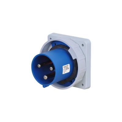 Cina Il pannello impermeabile trifase di 63A 220V IP67 ha montato la spina nichelata in vendita