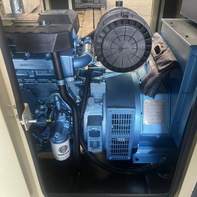 Cina Centrale elettrica del generatore di Weichai WPG68.5-L1 55kVA-687.5 Generatore diesel industriale in vendita