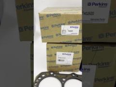 404D-22 403D-22 Moteur Kit de pission et ensemble d'anneau Parties de moteur Perkins
