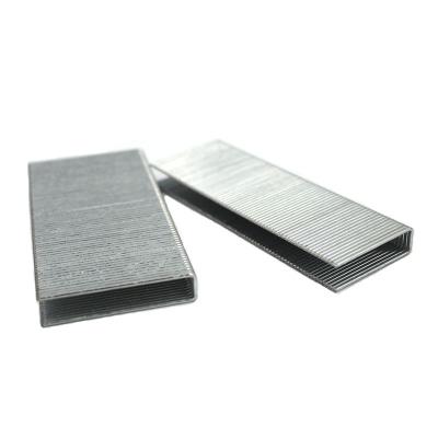 Cina Acciaio 16 Gauge Staple 7/16 Crown 38mm 1-1/2
