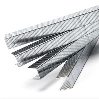 Cina 20 Gauge 6mm Mobili per tappezzeria Staple 1006j Durable con filo di acciaio U-type in vendita