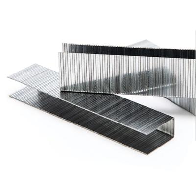 Cina 20 Gauge 1/2 Crown 22mm Wire Staples for Air Staple 1022J e in tappezzeria per mobili in vendita