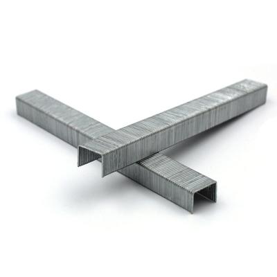 Cina U-Type Nail Fine Crown Staple 21 Gauge 3/8 Crown 10mm 80 Serie 8010 per la decorazione in vendita