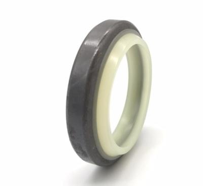 Cina Anello sigillante antipolvere di scheletro delle coperture esterne del ferro di GA DKB DKBI in vendita