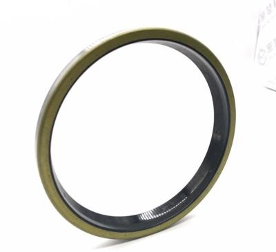 Cina Anello sigillante antipolvere di scheletro delle coperture esterne del ferro di GA DKB DKBI in vendita