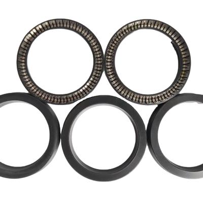 Cina Guarnizione rotatoria dell'asse di PTFE stimolata primavera in vendita