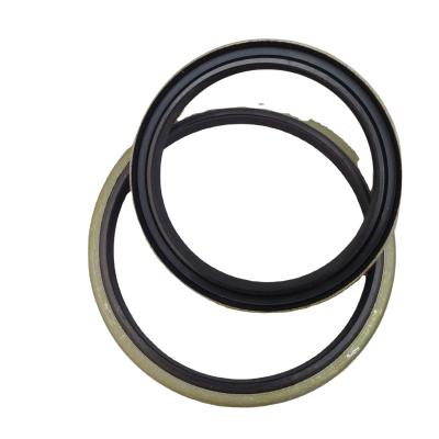 Cina Guarnizione di scheletro dell'anello sigillante della prova della polvere delle coperture esterne del ferro di buona qualità GA DKB AH DKBI in vendita