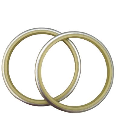 Cina Guarnizione di scheletro dell'anello sigillante della prova della polvere delle coperture esterne del ferro di buona qualità GA DKB AH DKBI in vendita