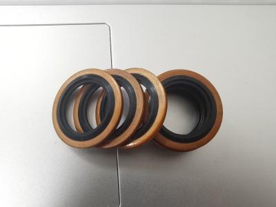 Cina La resistenza solvente di qualità stabile ha legato la guarnizione composita sigillata con la rondella legata del metallo in vendita