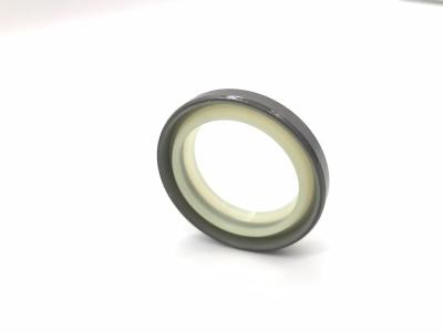 Cina Parapolvere DKBI di Rod Preventing Leakage Scraper Seals del cilindro in vendita