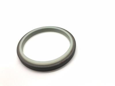 Cina Parapolvere DKBI di Rod Preventing Leakage Scraper Seals del cilindro in vendita