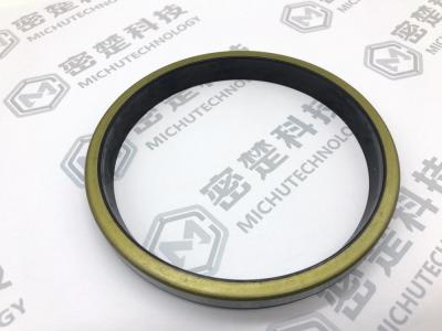 中国 外の鉄の貝が付いているGA DKB DKBIの骨組ちり止めの密封リング 販売のため