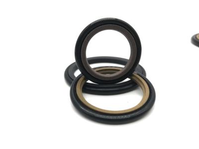 Cina Pistone Std idraulico Ring Customization Spare Parts delle parti di NBR PTFE in vendita