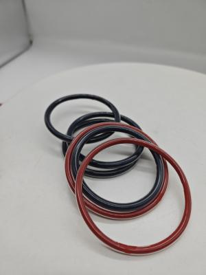 Cina Giunto circolare della capsula di FEP/PFA con il silicone   Giunto circolare di FKM in vendita