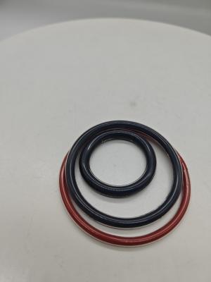 Cina L'OEM FEP PFA ha ricoperto il giunto circolare del silicone di FKM di temperatura elevata in vendita