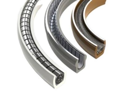 Cina La PRIMAVERA materiale della guarnizione PTFE di Ptfe HA STIMOLATO la guarnizione dell'asse delle GUARNIZIONI in vendita