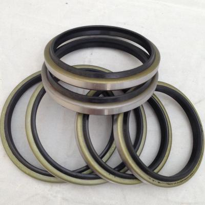 Cina Tergicristallo Ring For Piston Rod della parapolvere di DKB in vendita