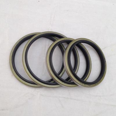Cina Tergicristallo Ring For Piston Rod della parapolvere di DKB in vendita