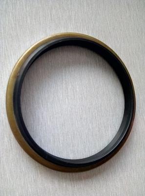 Cina Tergicristallo Ring For Piston Rod della parapolvere di DKB in vendita