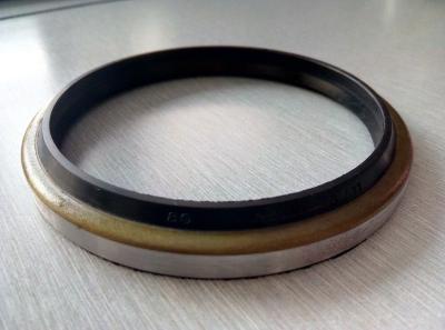 Cina Tergicristallo Ring For Piston Rod della parapolvere di DKB in vendita