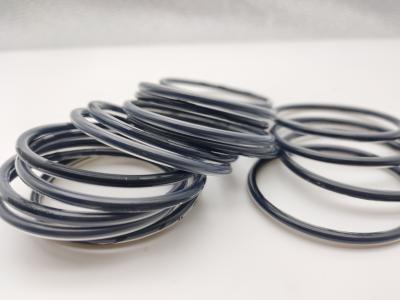 Cina Giunto circolare su misura copertura trasparente di PTFE in vendita