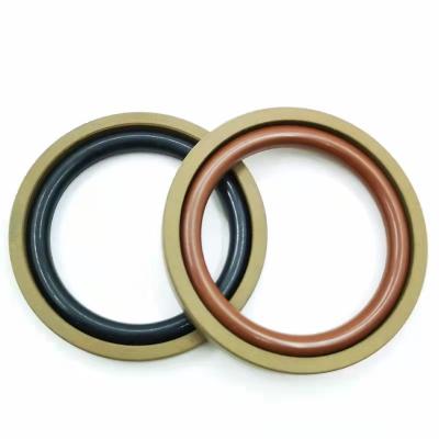 Cina La guarnizione su misura della cassetta PTFE NBR GSF Glyd suona le guarnizioni del pistone in vendita