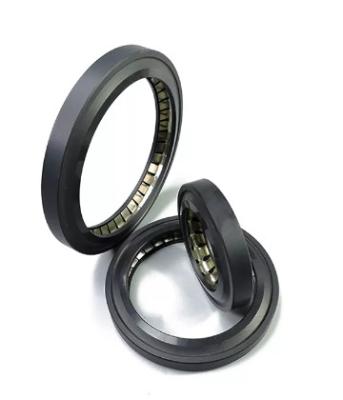 Cina Anello con sigillo dell'olio di PTFE/PEEK/guarnizione stimolati primavera valvola a saracinesca in vendita