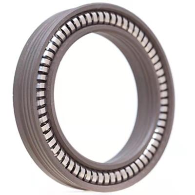 China O selo Ring Spring Energy Storage Ring de Ptfe pode ser personalizado à venda