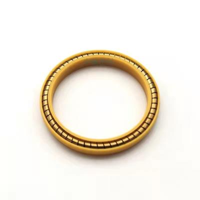 China O selo Ring Spring Energy Storage Ring de Ptfe pode ser personalizado à venda