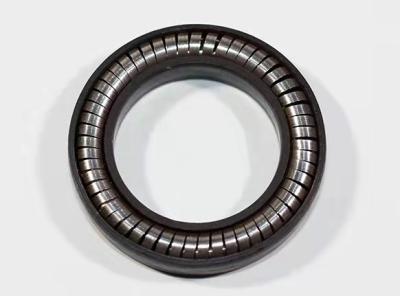 China O selo Ring Spring Energy Storage Ring de Ptfe pode ser personalizado à venda
