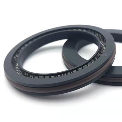 China O selo Ring Spring Energy Storage Ring de Ptfe pode ser personalizado à venda