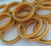 China High Quality PTFE Spring Energized Seals/ V spring seal for sale