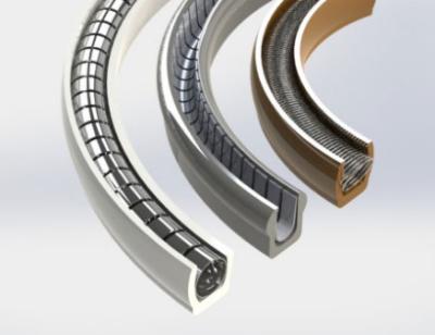 Cina Guarnizione stimolata primavera di PTFE in vendita