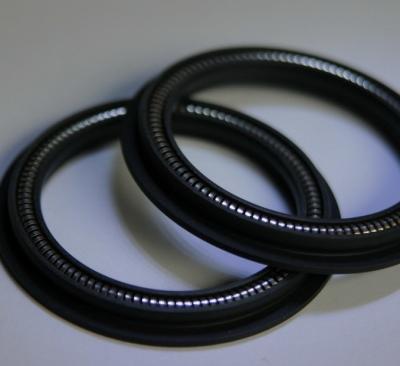Cina Guarnizione stimolata primavera di PTFE in vendita
