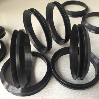 Cina Guarnizione di gomma su misura del nitrile/EPDM di Ring Seal NBR dell'olio V Ring For Cylinder Pump in vendita