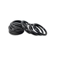 China factory custom made Good quality different materials Plastic silver ring seals rubber o-ring for sale