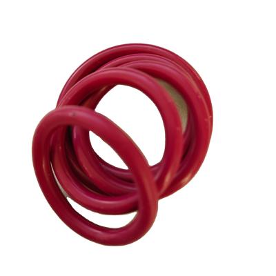 Cina Guarnizioni su misura/per di Fkm/FPM/O-ring/Oring/O-ring sigillare in vendita