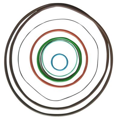 Cina Grande giunto circolare di dimensione in materiali di NBR /FKM/ Silicon/EPDM/Other in vendita