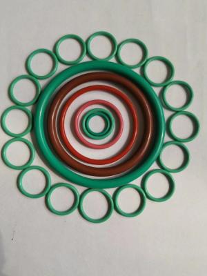 Cina giunto circolare di gomma di buona qualità della fabbrica di specie delle guarnizioni rosse di plastica differenti su ordine dell'anello in vendita