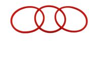 China FKM  o-ring  sealing ring for sale